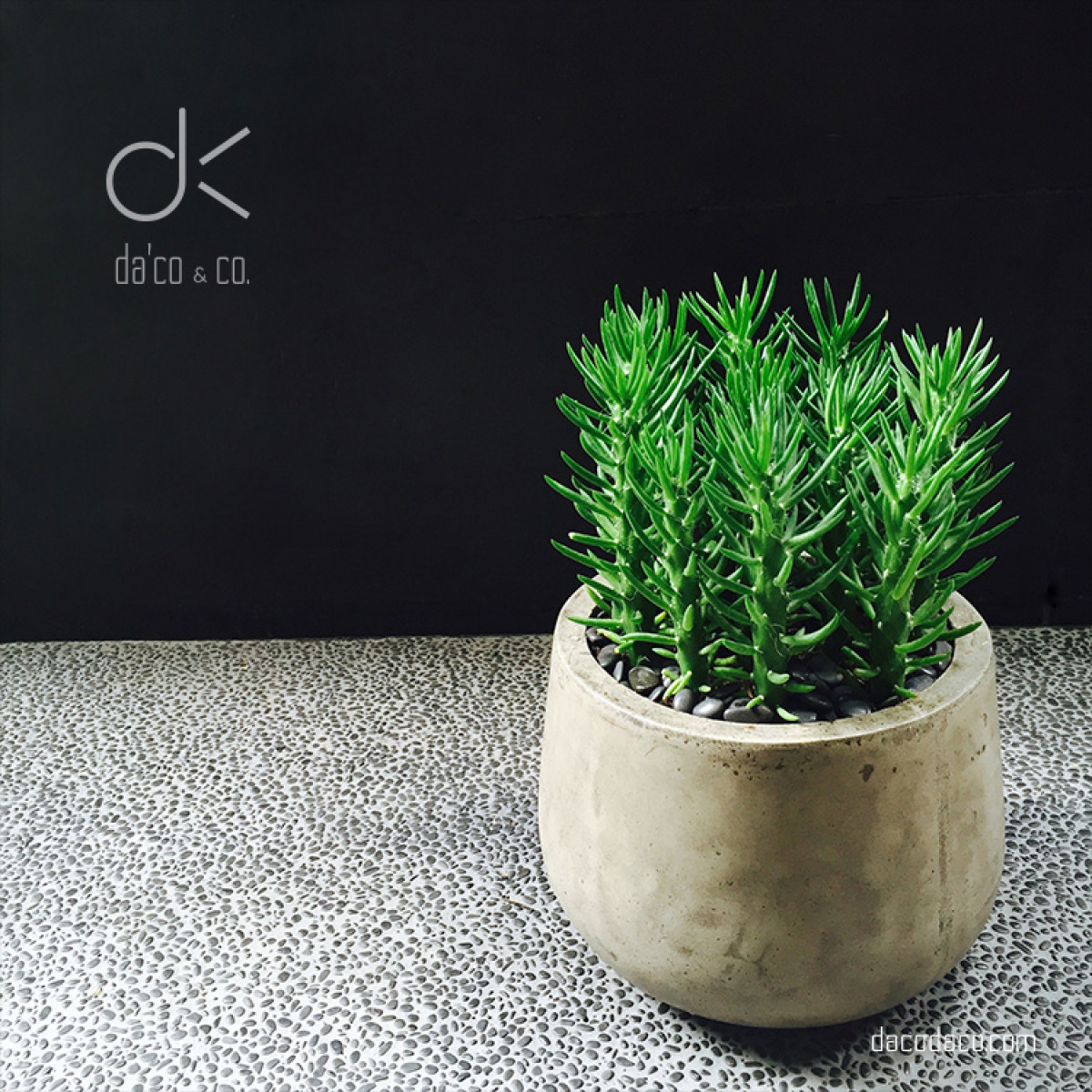 植栽系列 DF-P0001 | da'co & co