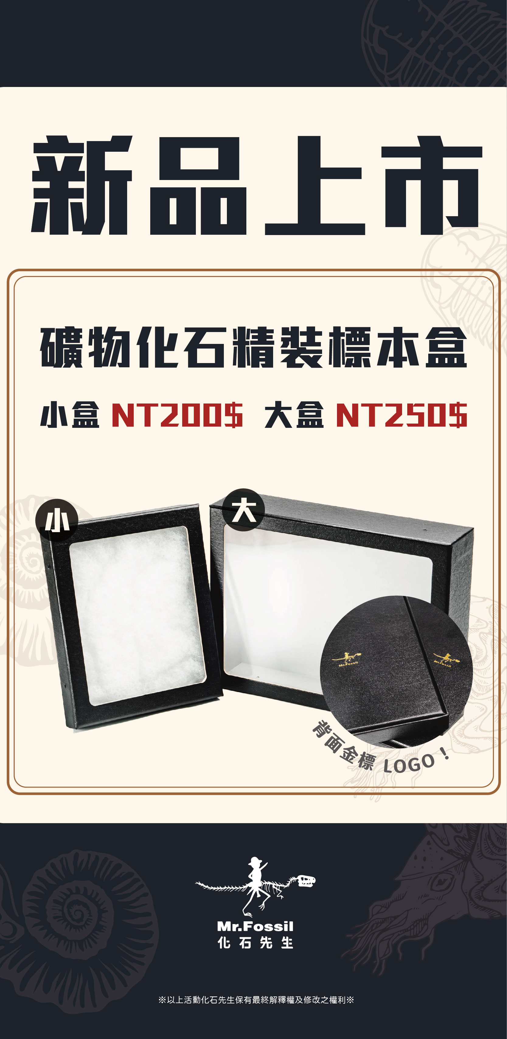 化石先生Mr. Fossil｜Hansa Creation