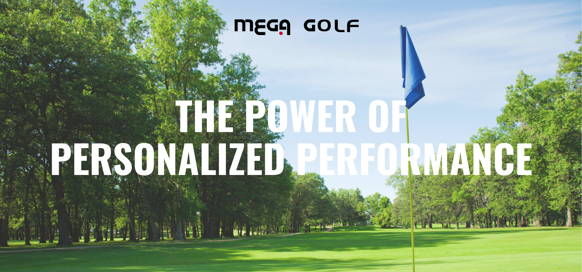 Home [www.megagolf.store]