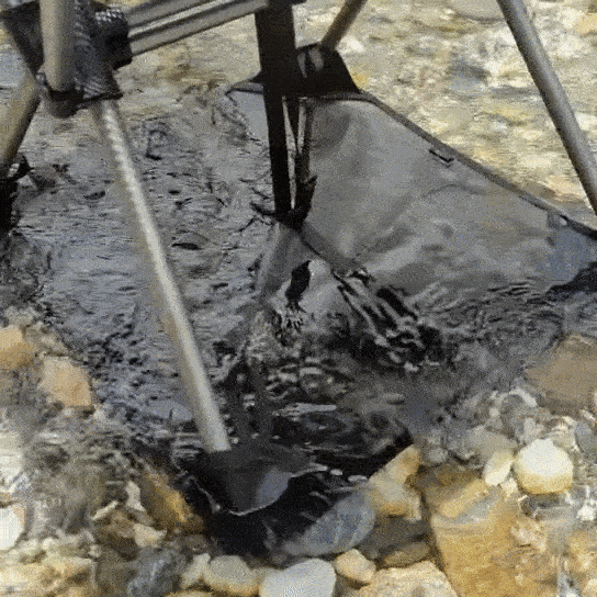 防陷沙灘網 | Dr.Wilds｜荒野醫生