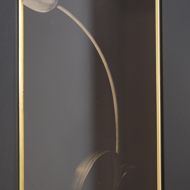 限量作品 | LIGHTO / Online Art Shops