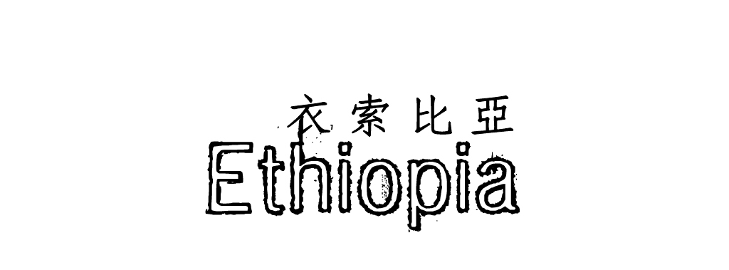 Ethiopia Twakok | HAY COFFEE