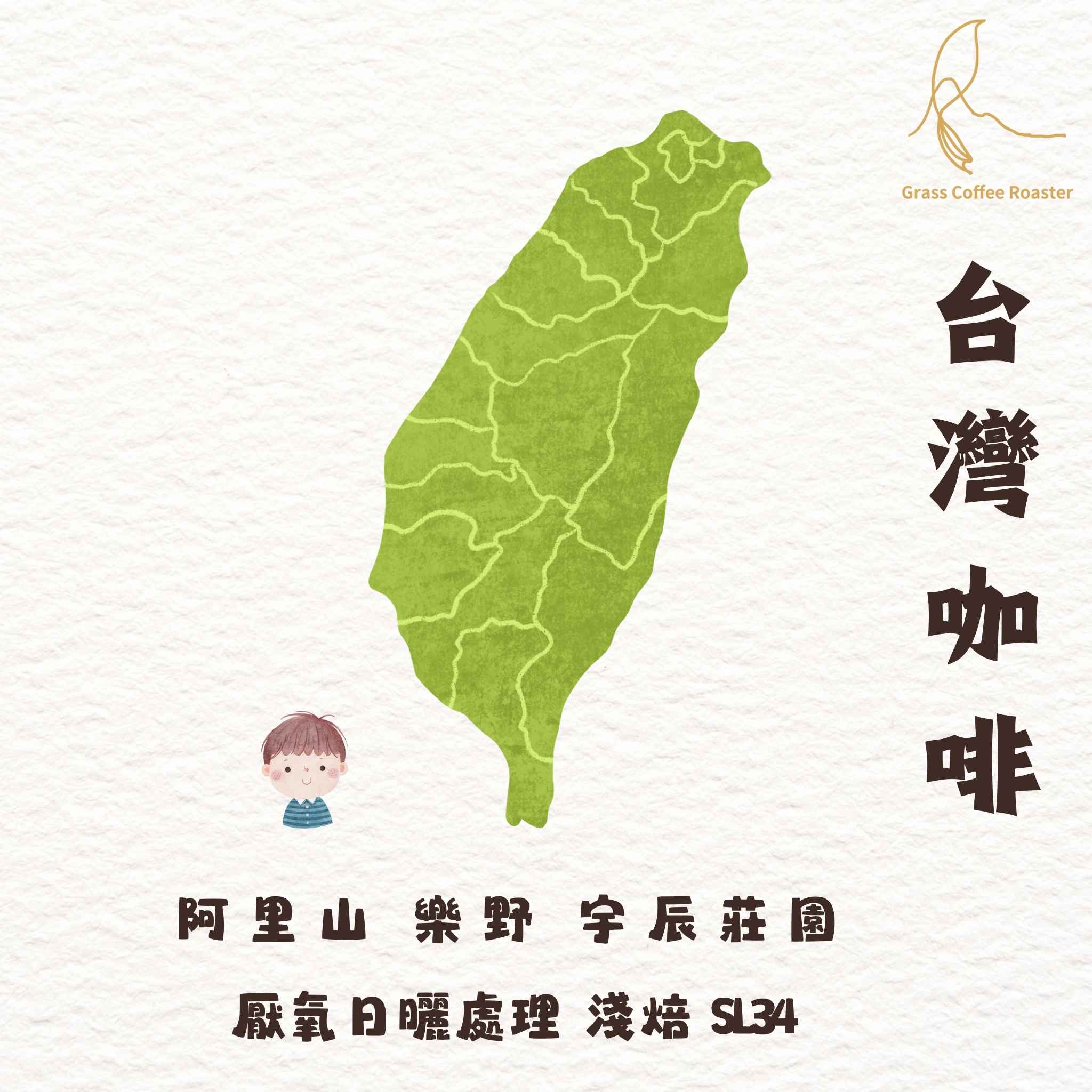 嘉義 阿里山 宇辰莊園 厭氧日曬SL34 處理 淺焙 | 鳴草珈琲 grasscoffee specialty coffee roasters