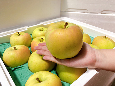 多結果子日本青森蘋果馬拉松 土岐TOKI蘋果開跑